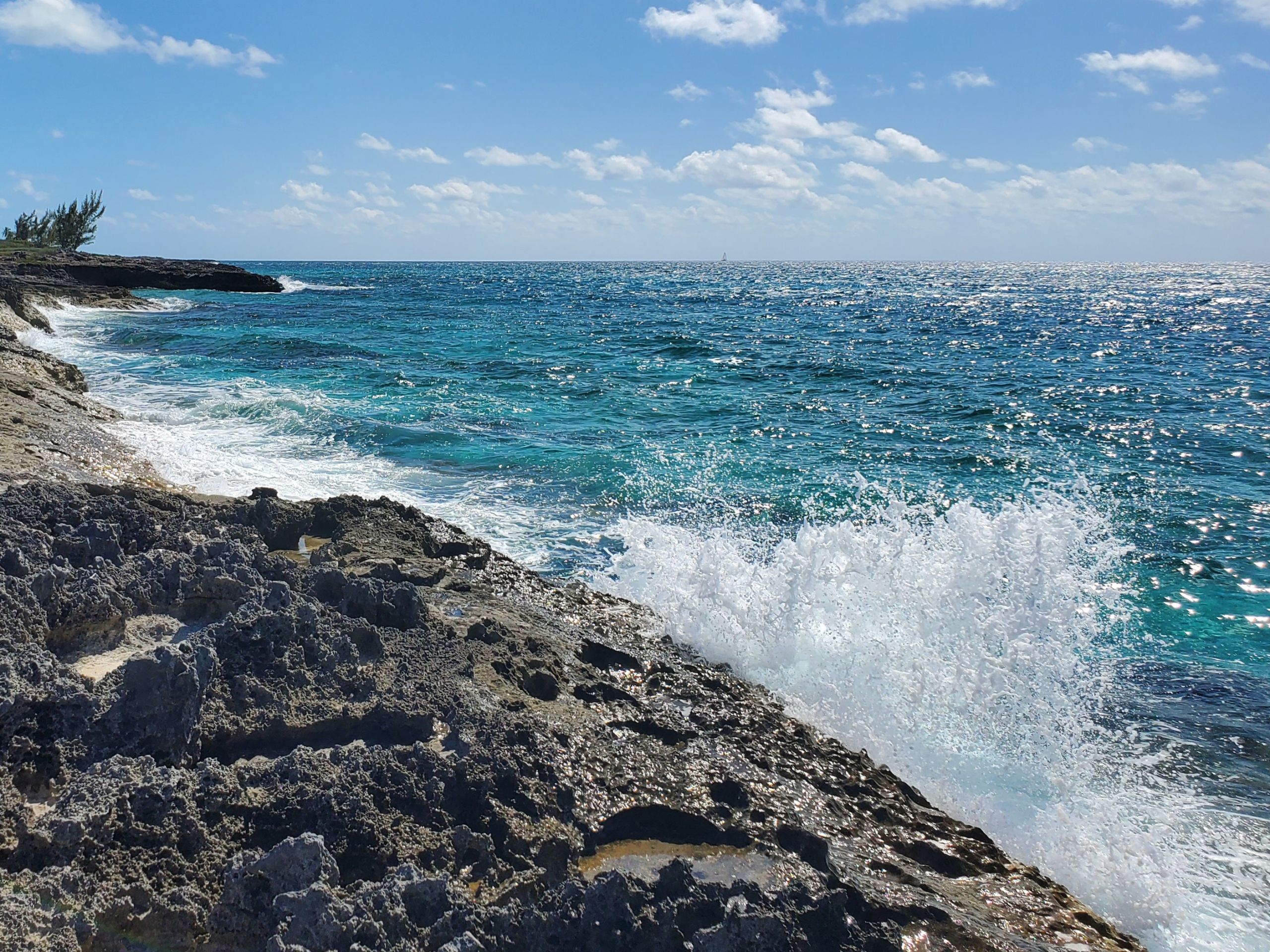 What if... | Captain's Log