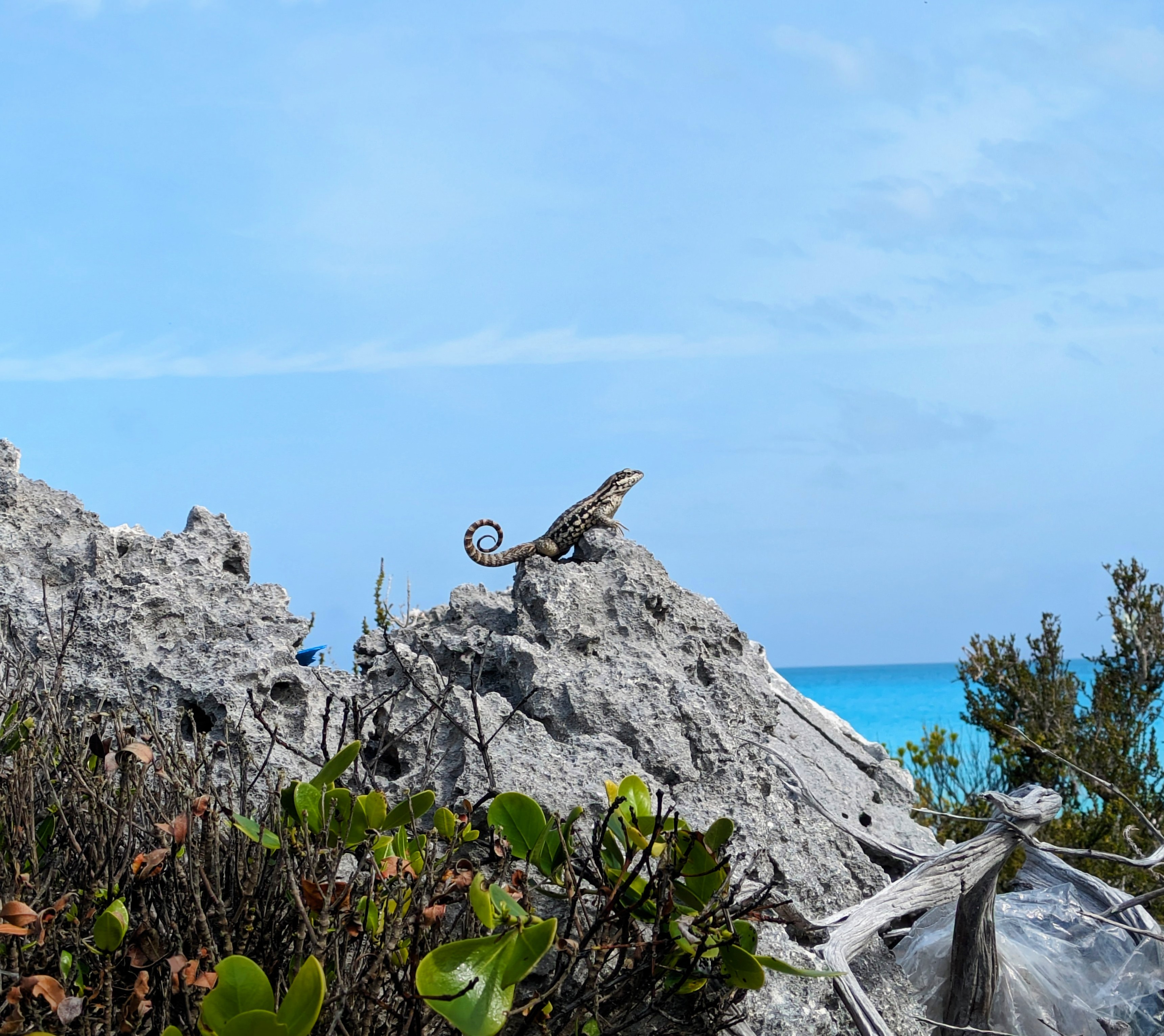 Introducing The Exumas | Captain's Log